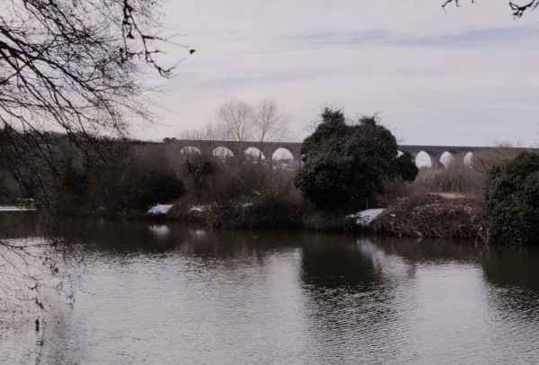 Exploring Don Gorge, Conisbrough Castle and Edlington | WildWays