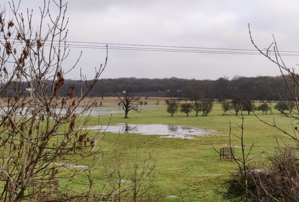 Walk around Balby, Loversall and iPort Lakes, Doncaster | WildWays